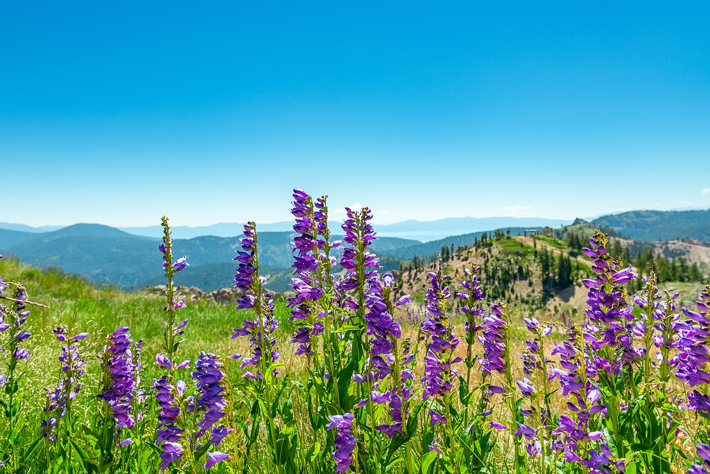 Doctors Switching to the New Pinnacle Medical Group - Health Benefits ...