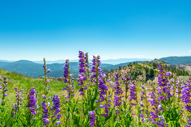 Doctors Switching to the New Pinnacle Medical Group - Health Benefits ...